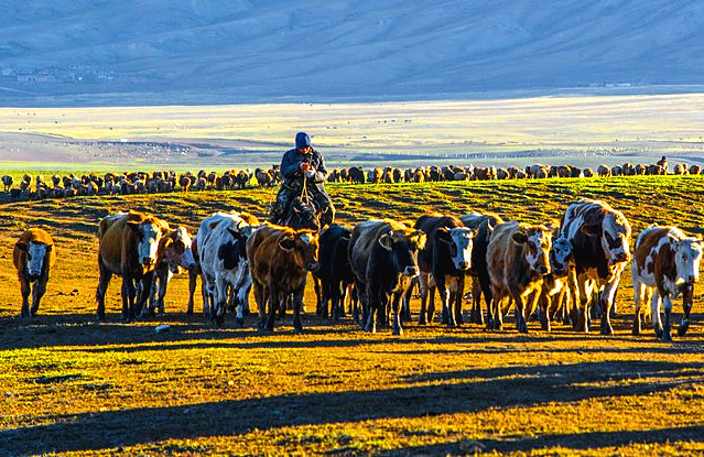 Xinjiang Travel, Xinjiang Travel Guide,Best Time to Visit Xinjiang ...