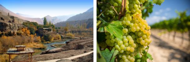 Grape Valley-Silk Road Travel