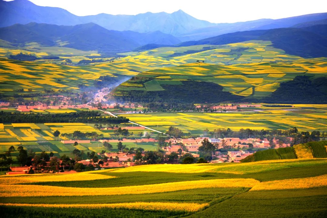 Menyuan Rape Flower Field-Silk Road Travel