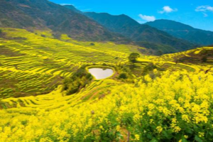 Jiangxi Travel,Jiangxi Travel Guide,Best time to visit Jiangxi,Jiangxi ...