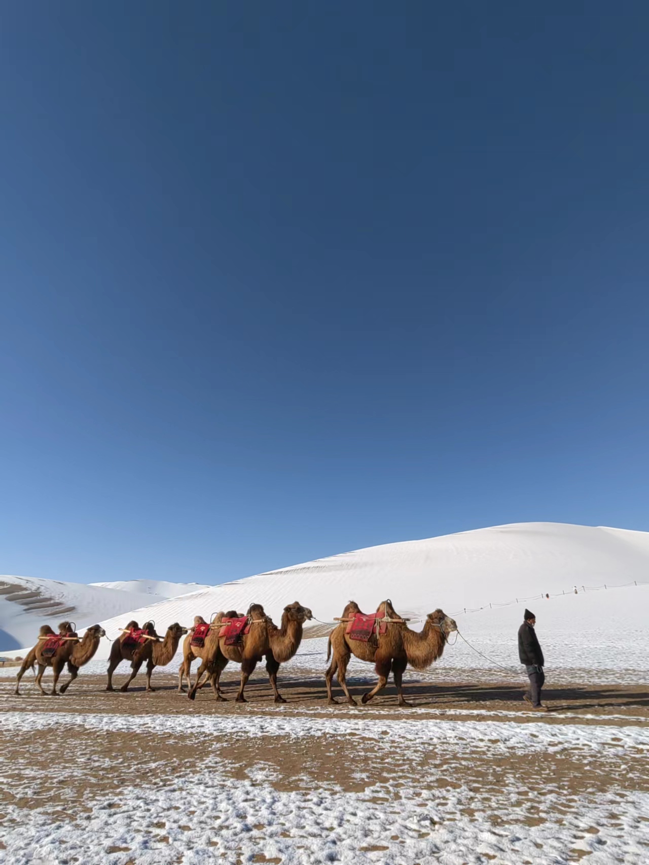 Silk Road Tour, Silk Route Trips to China | Silk Road Travel