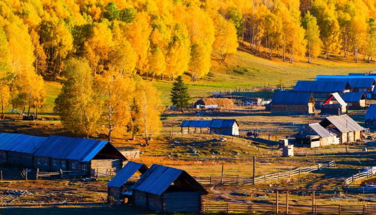 Unique North Xinjiang Group Tour: Kanas Lake, Nalati Grassland, Hemu ...